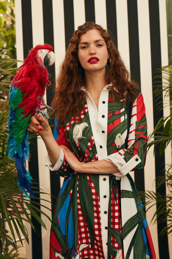 Showapp - Creative Sales Development